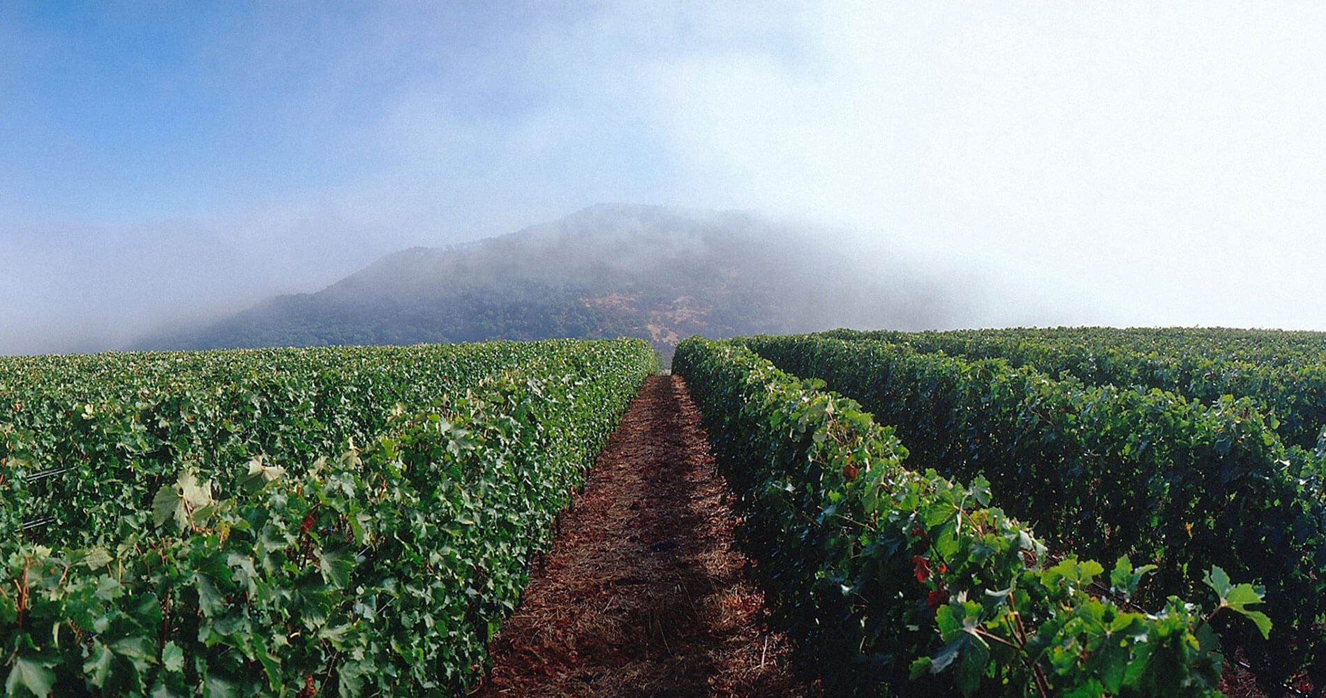 Flexjet Unveils Premium Lifestyle Experiences and Luxury Brand Benefits ...